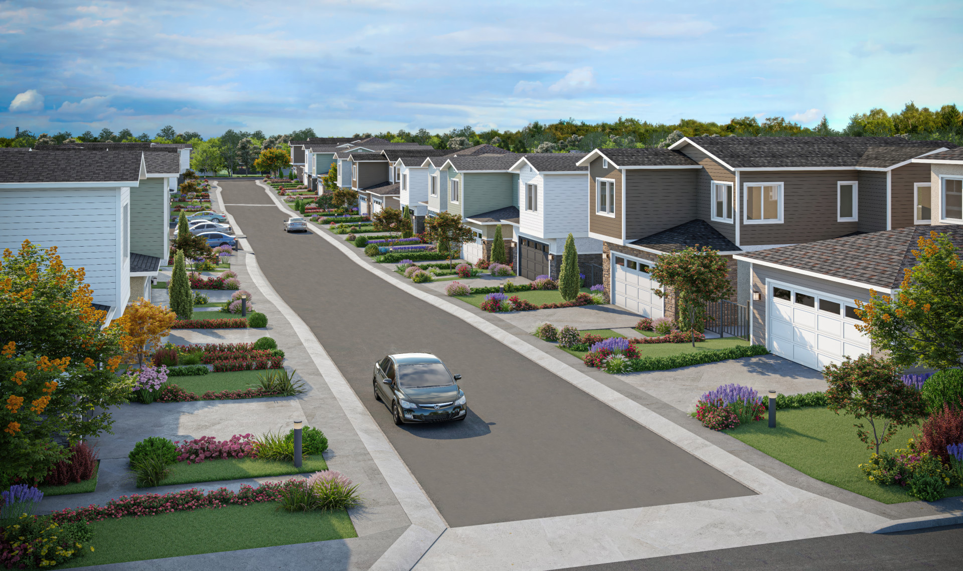 Residences - Hill Street Terraces